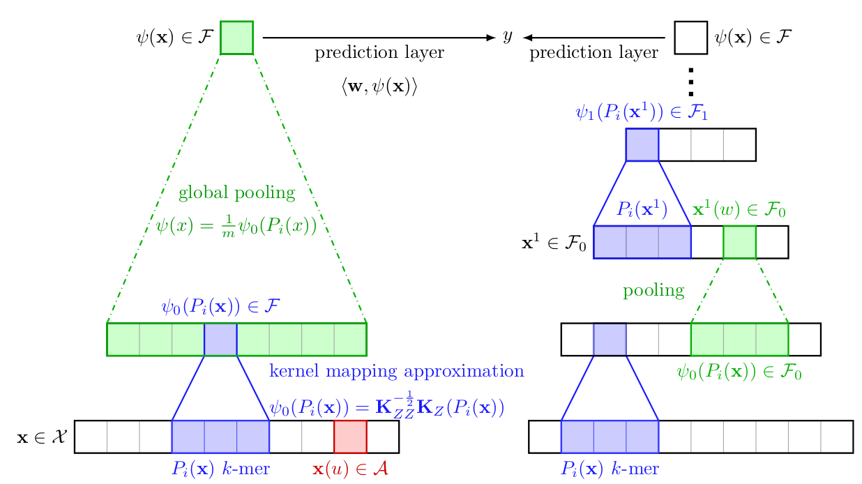 Convolutional kernel networks | Laurent Jacob