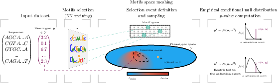 Neural Networks Beyond Explainability Selective Inference For Sequence Motifs Laurent Jacob